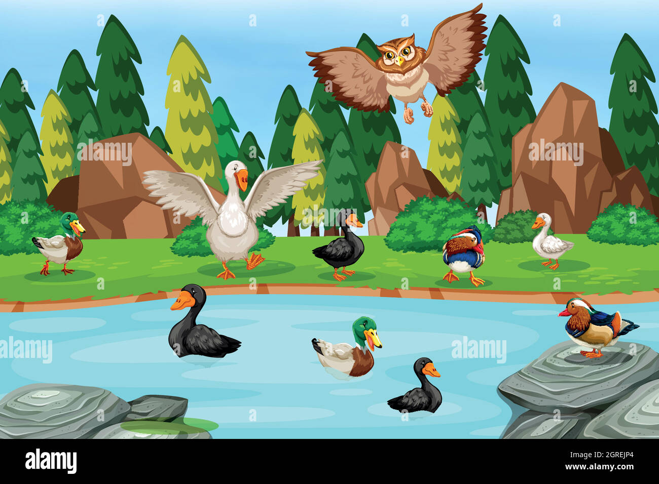 Birds in lake scene Stock Vector Image & Art - Alamy