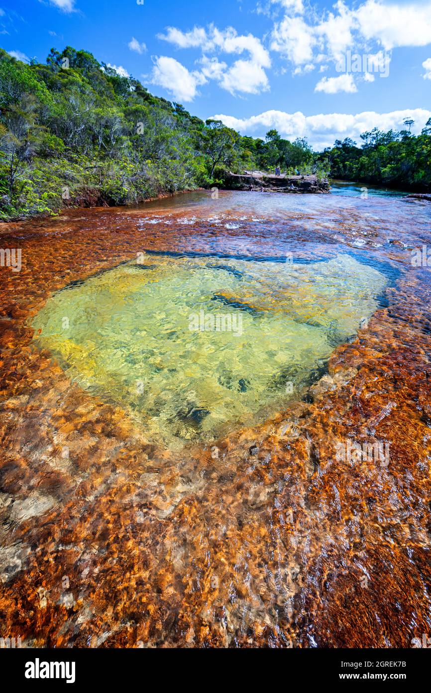 Shallow rock shelf and plunge pools on upstream side of Fruit Bat Falls ...