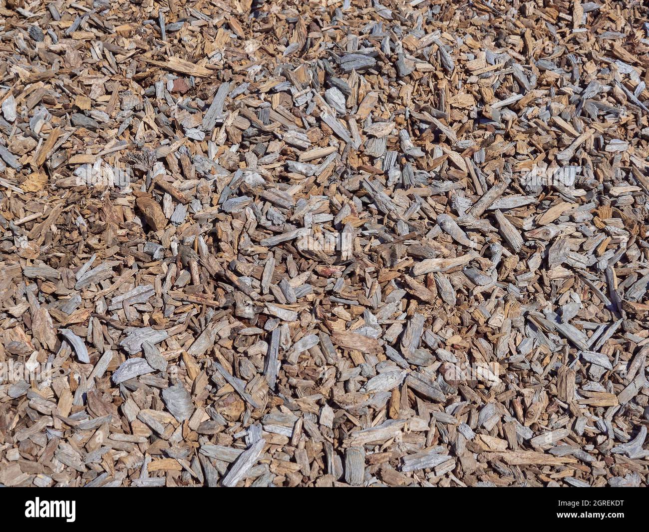 Closeup of wood chips texture Stock Photo - Alamy