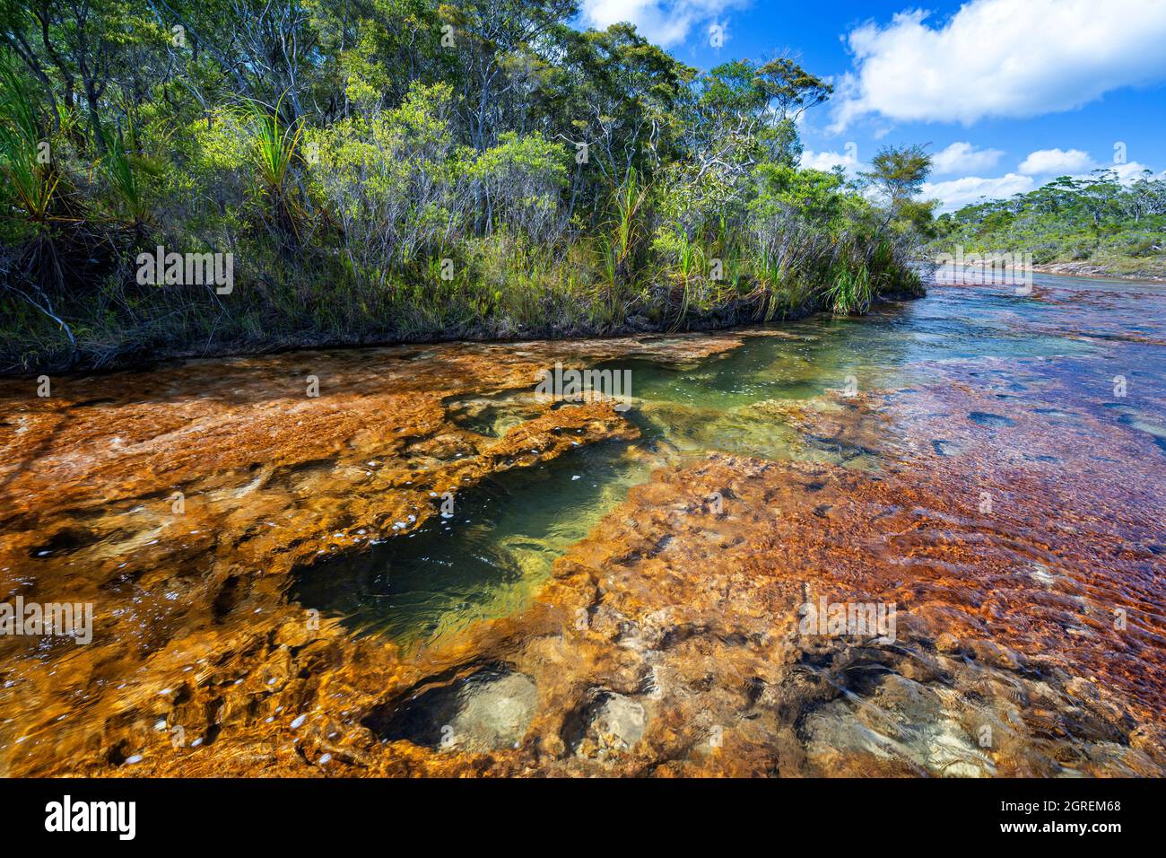 Shallow rock shelf and plunge pools on upstream side of Fruit Bat Falls ...