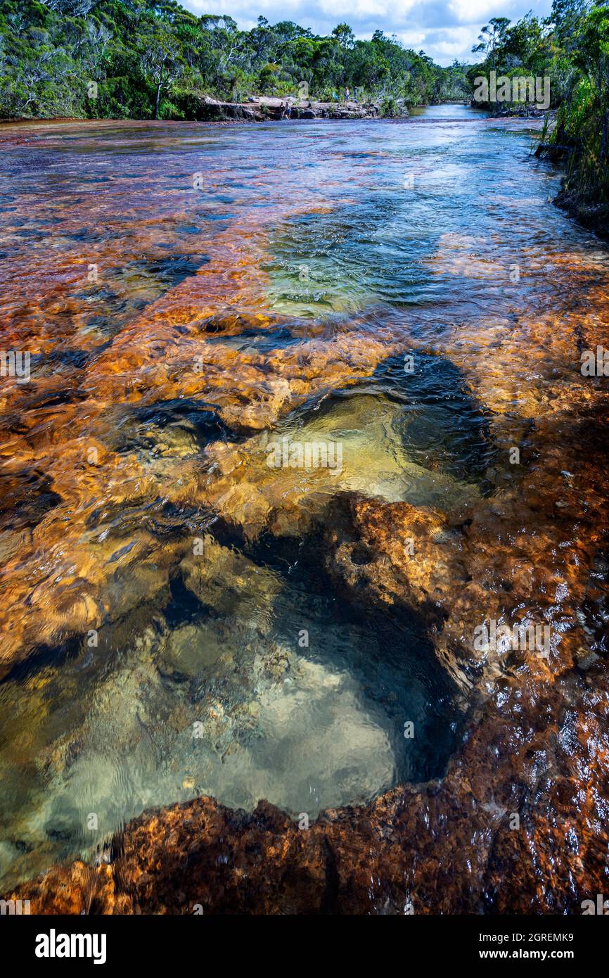 Shallow rock shelf and plunge pools on upstream side of Fruit Bat Falls ...