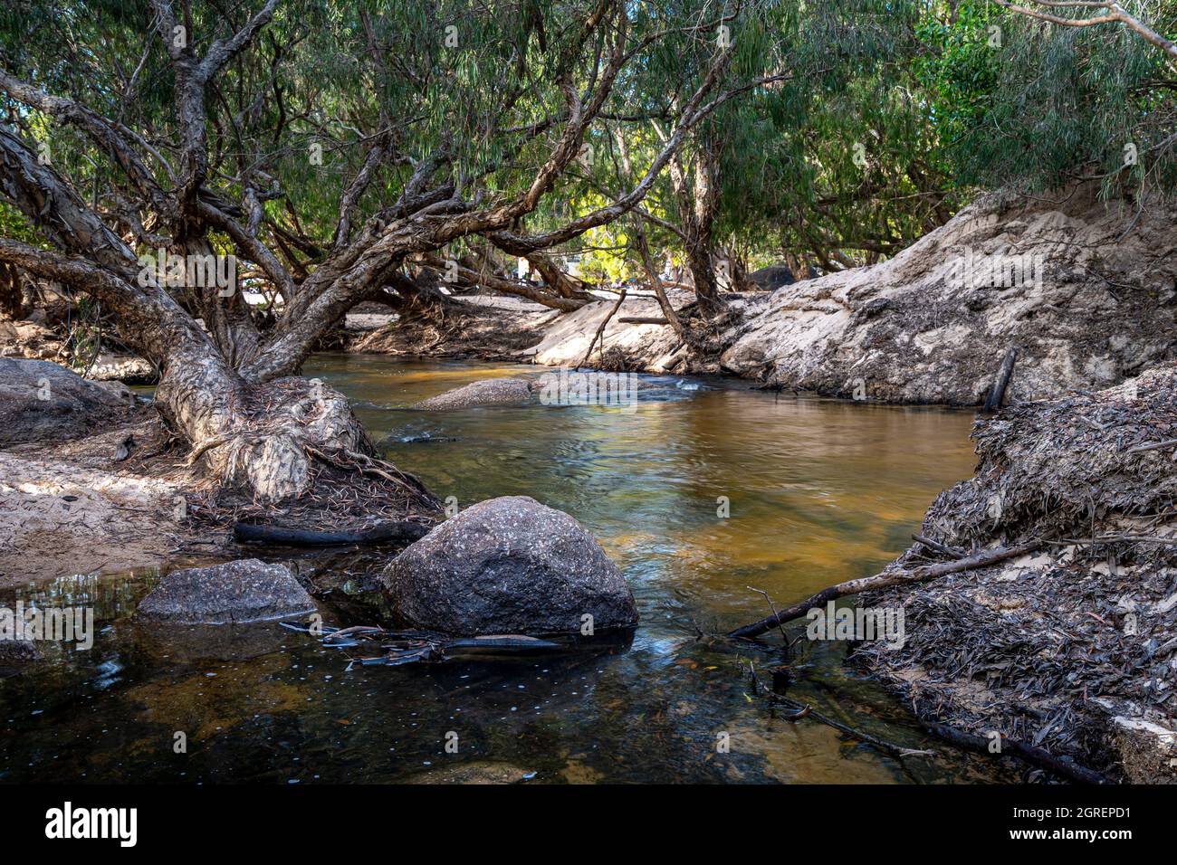 Archer River during the dry season, Cape York Peninsula, North ...