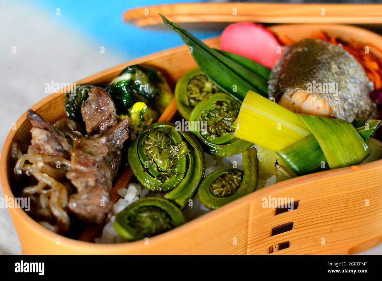 Bento box animal hi-res stock photography and images - Alamy