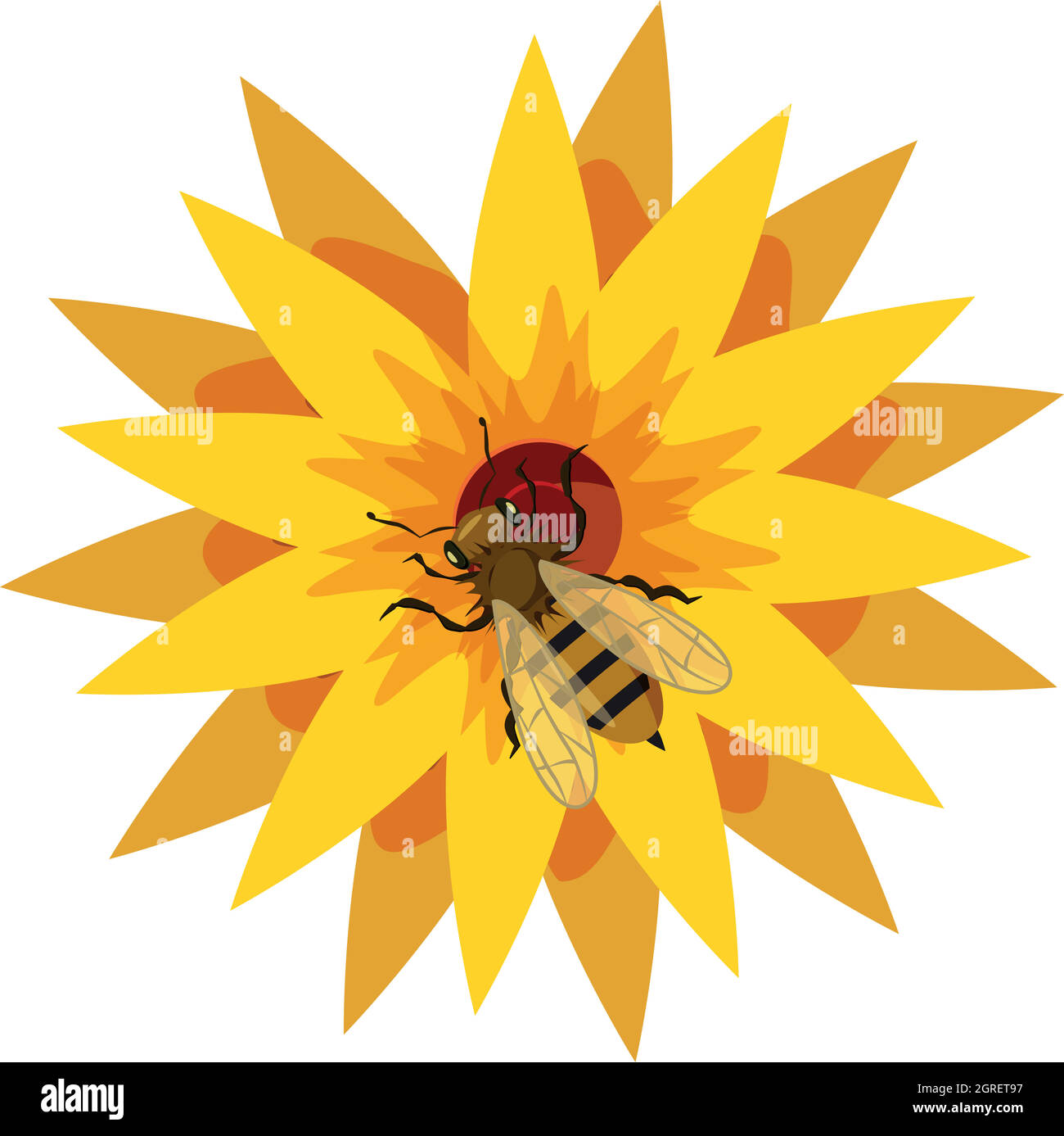 Bee on flower icon, cartoon style Stock Vector Image & Art - Alamy