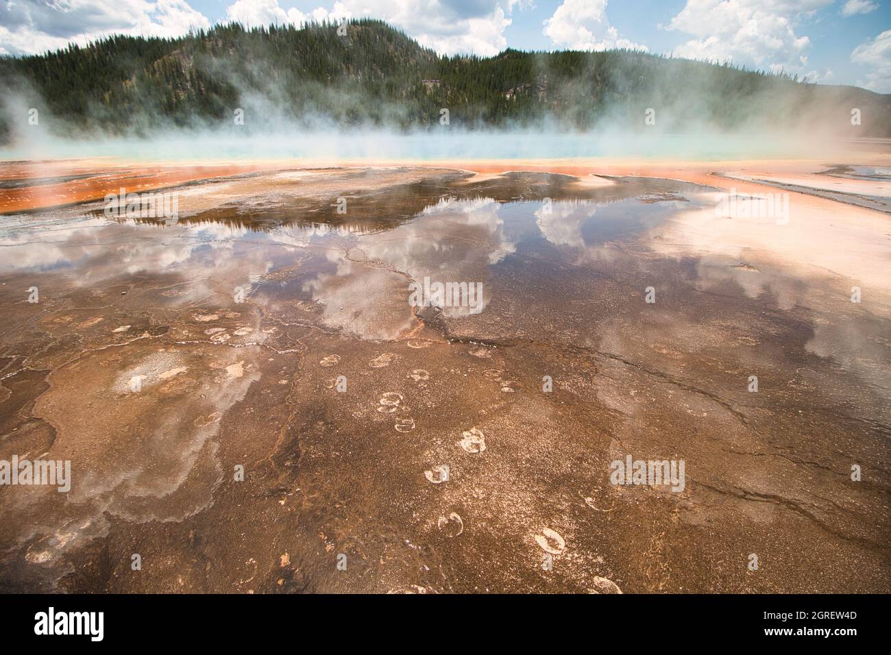 Yellowstone bison grand prismatic hi-res stock photography and images ...