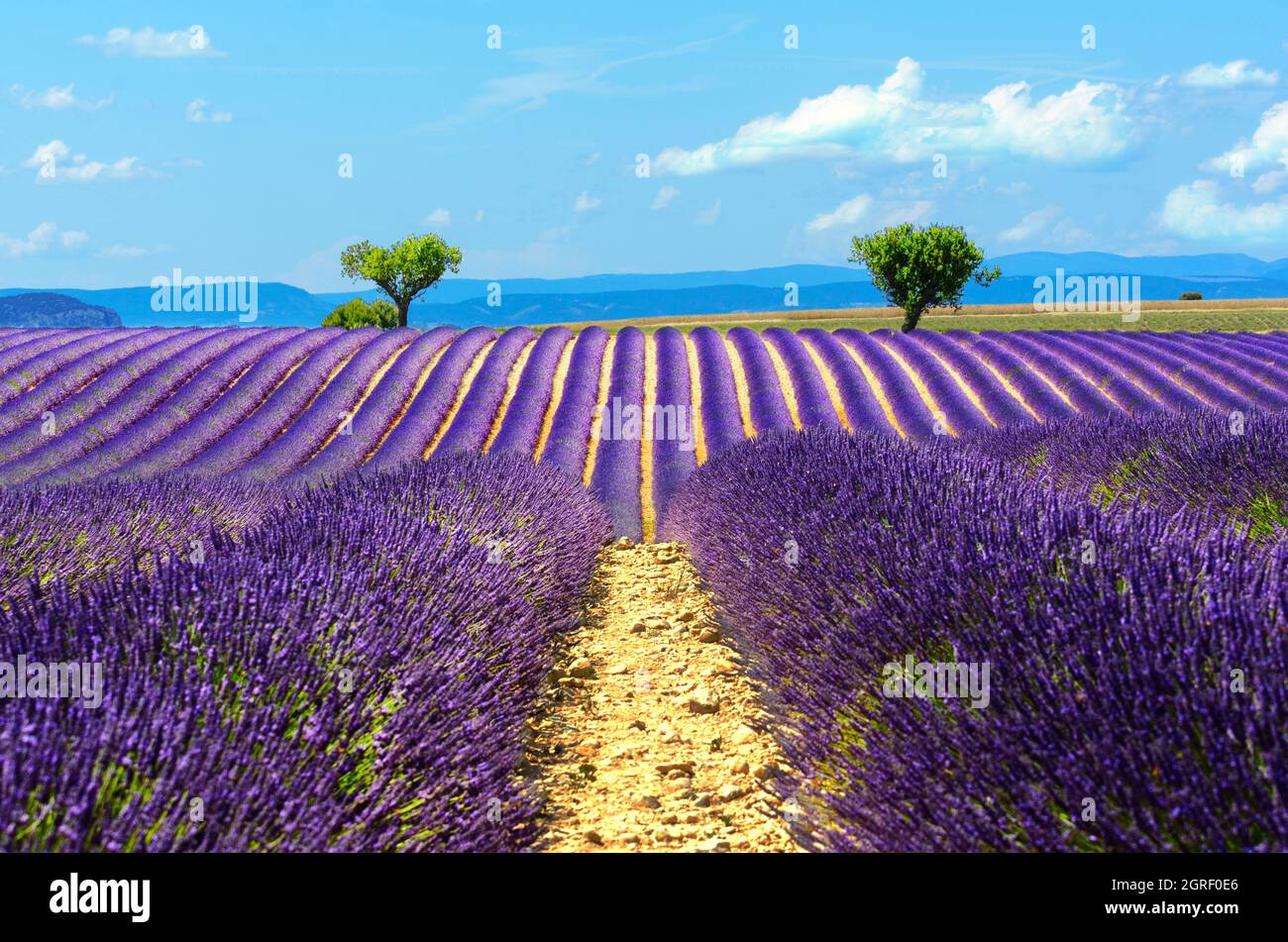 Manosque france hi-res stock photography and images - Alamy