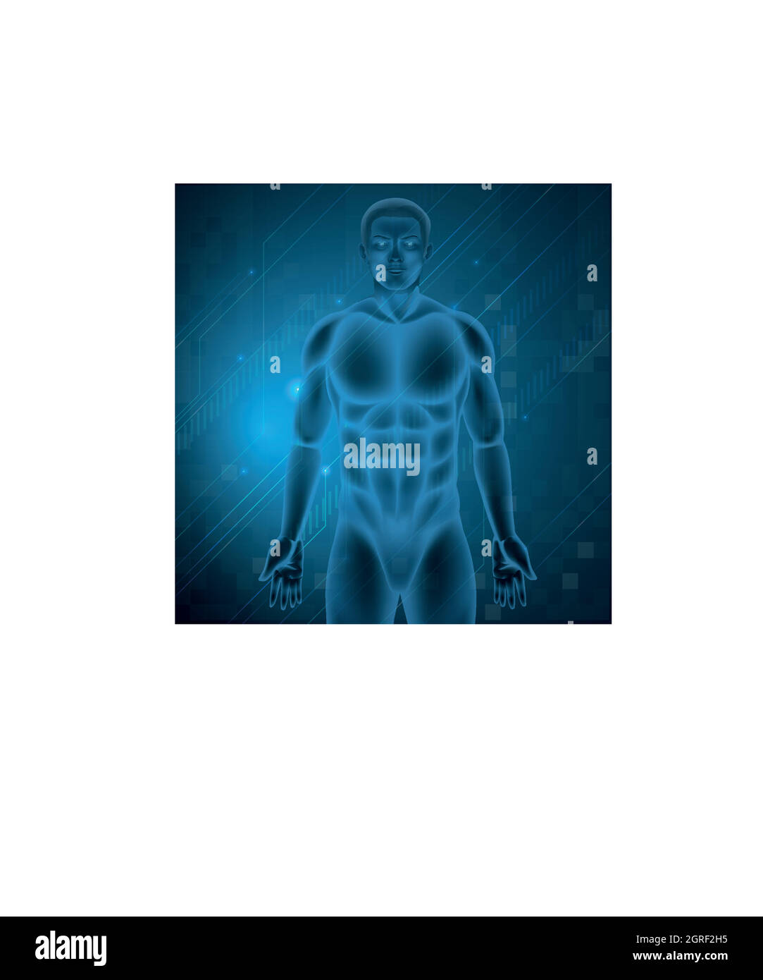 Perineum Stock Vector Images - Alamy