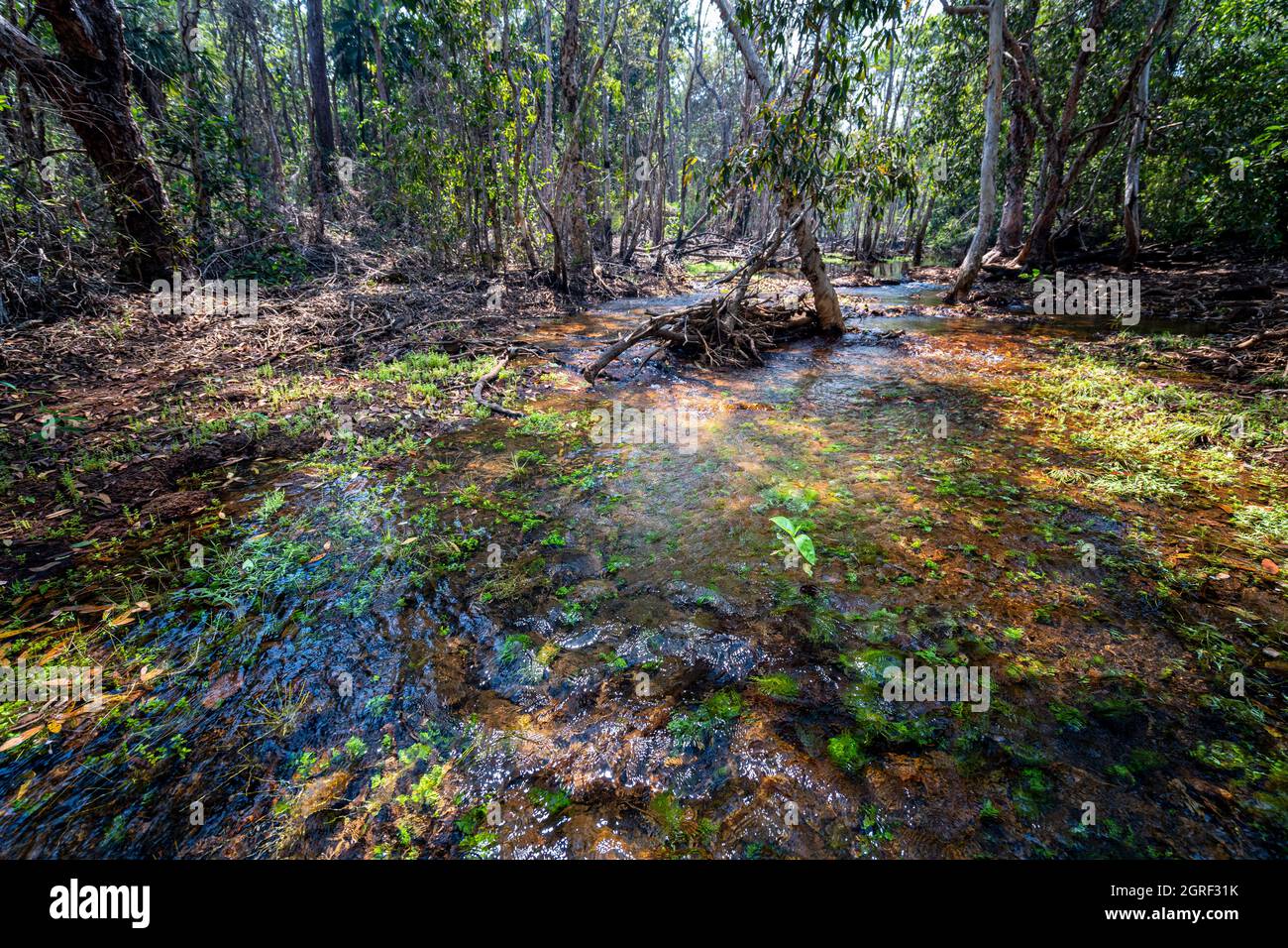 Weipa australia hi-res stock photography and images - Alamy