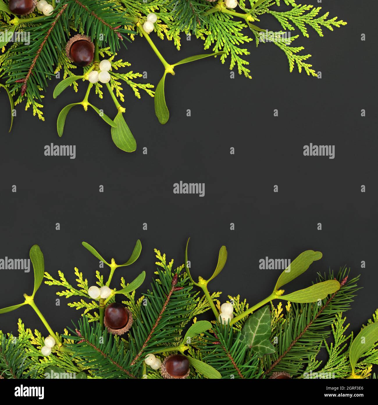 Pagan winter greenery with cedar, mistletoe, ivy leaves and acorns ...