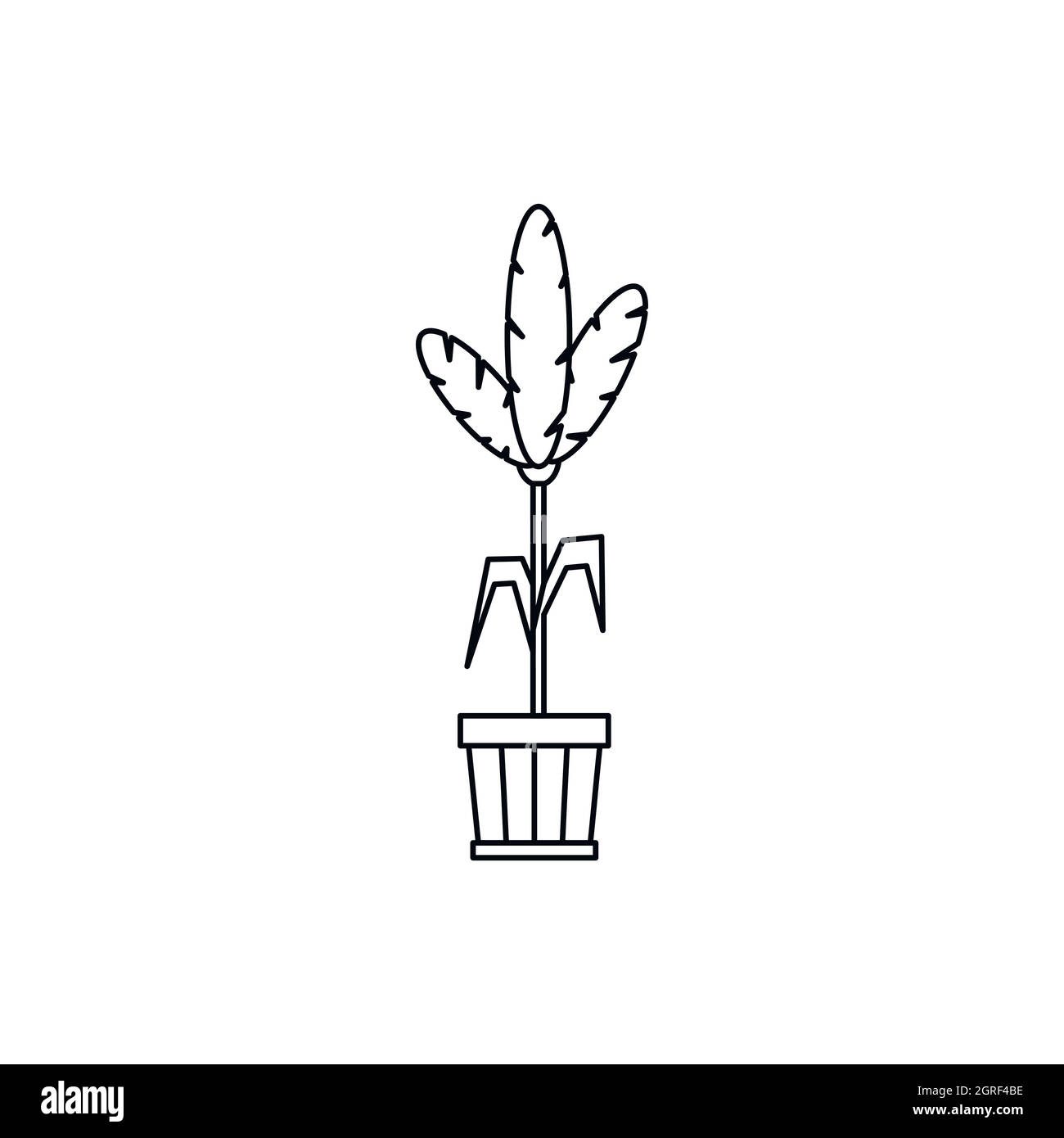 Home plant in flowerpot Stock Vector Images - Alamy