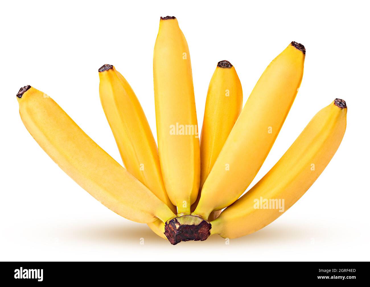 Bunch of bananas isolated on white background. Clipping Path. Full ...
