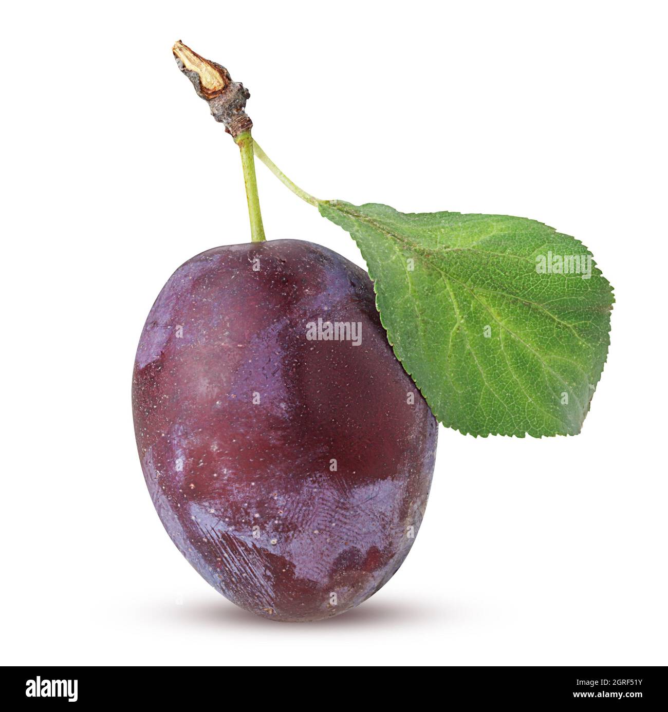 Fresh plum with leaf isolated on white background Clipping Path. Full ...