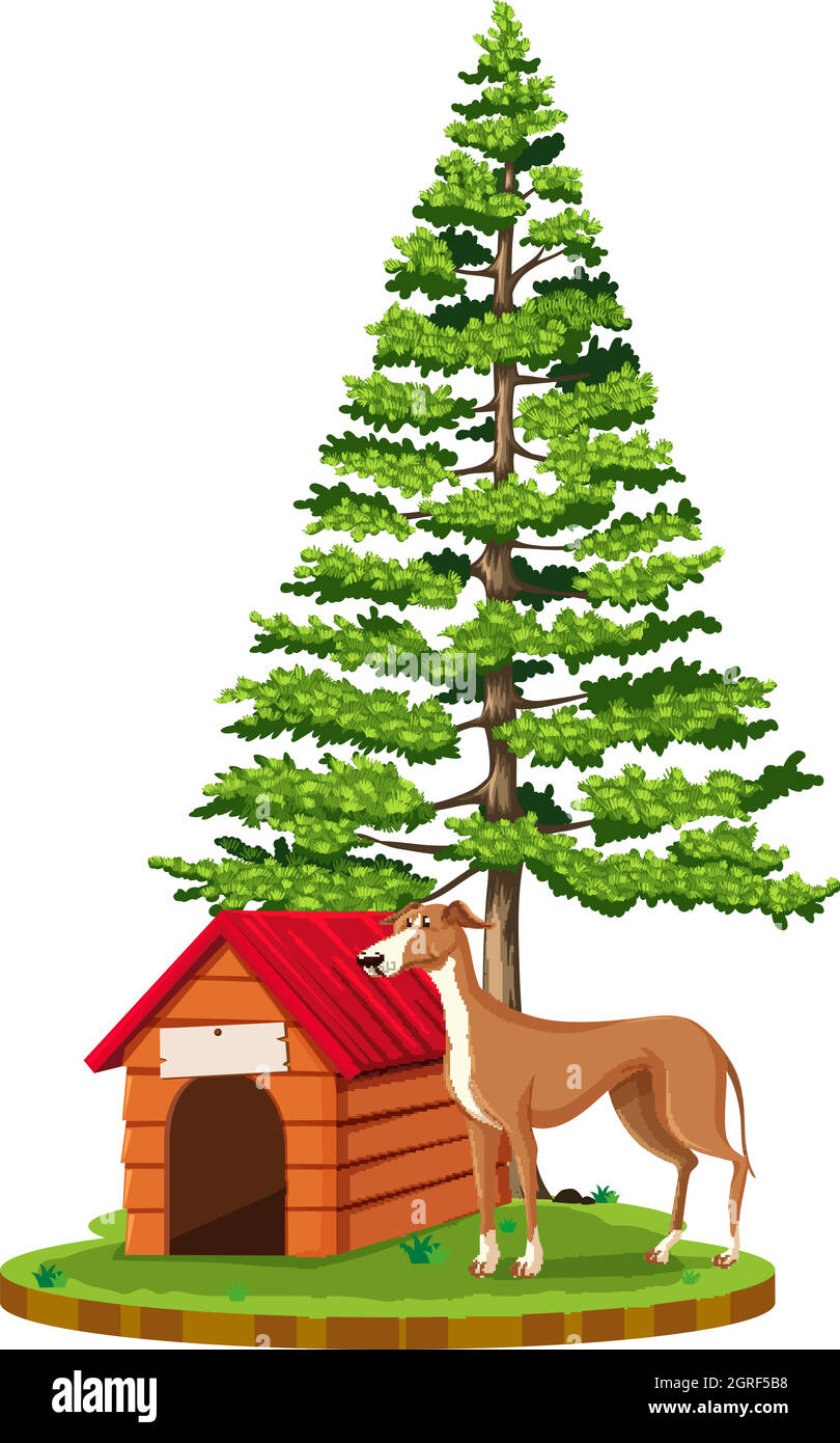 Exotic pet at home Stock Vector Images - Alamy