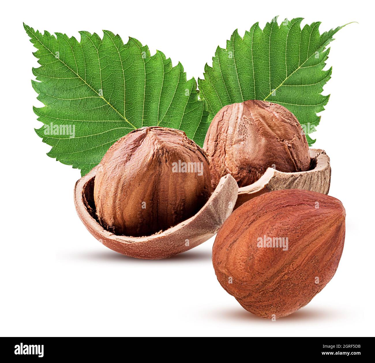 Hazelnut in shell hi-res stock photography and images - Alamy