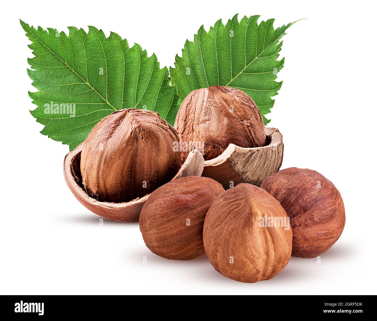 Hazelnut in shell hi-res stock photography and images - Alamy