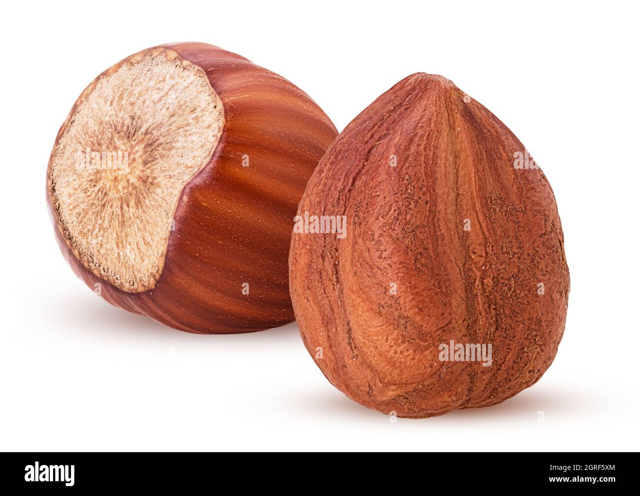 One peeled and one in shell hazelnut. Fresh organic filbert isolated on ...