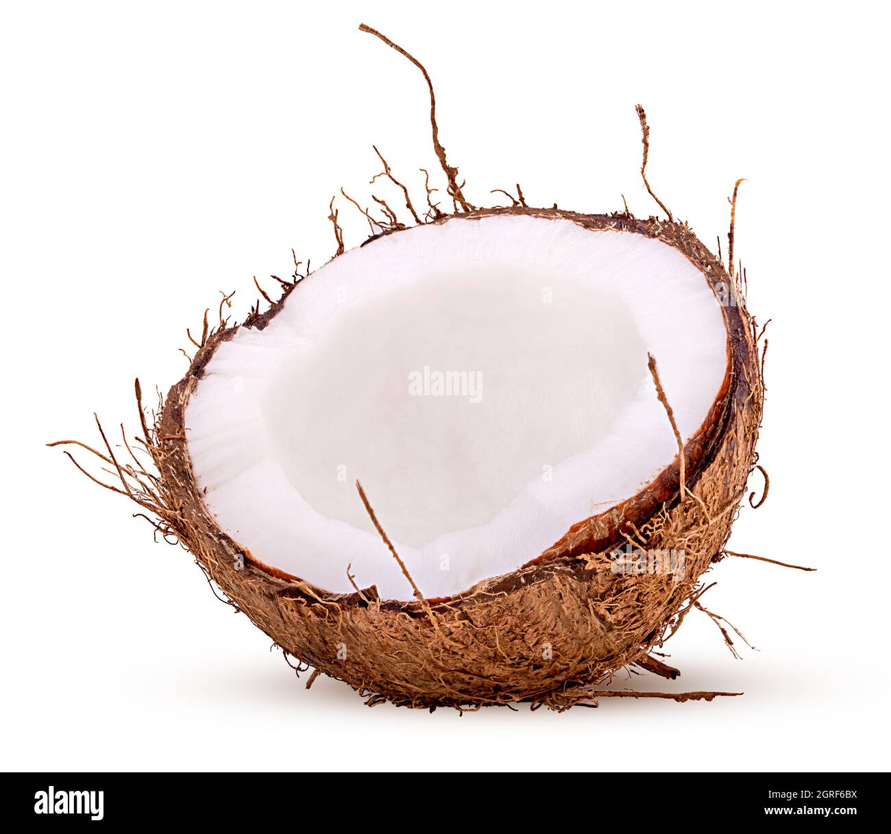 Freshly coconut in shell cut in half isolated on white background ...