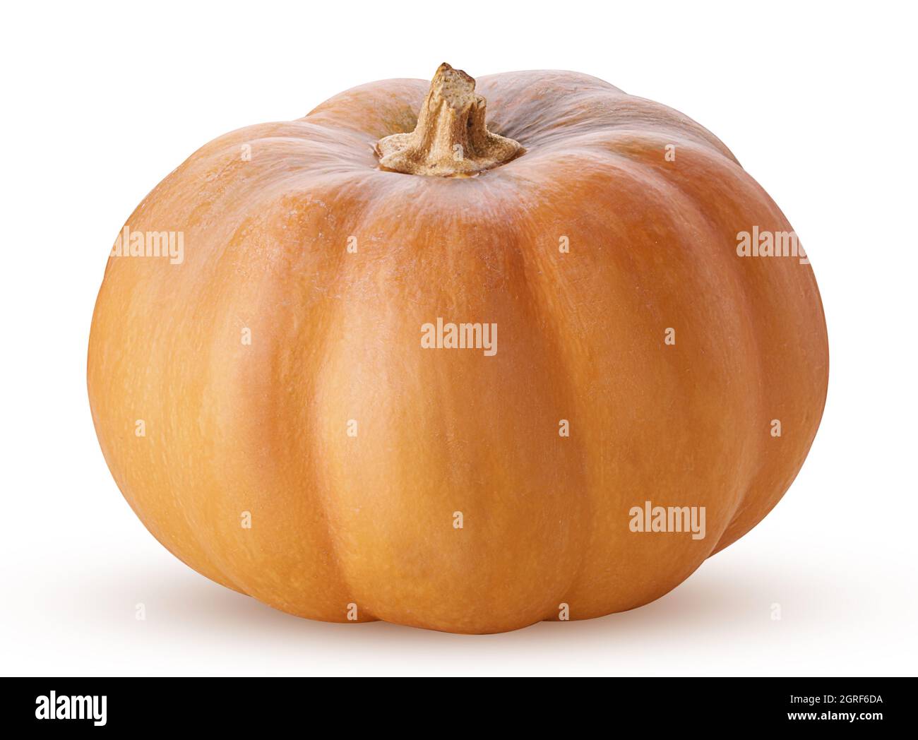 yellow pumpkin vegetable isolated on white background. Clipping Path ...