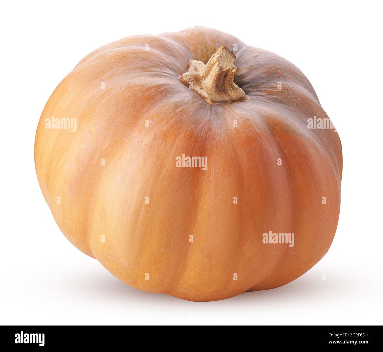 yellow pumpkin vegetable isolated on white background. Clipping Path ...