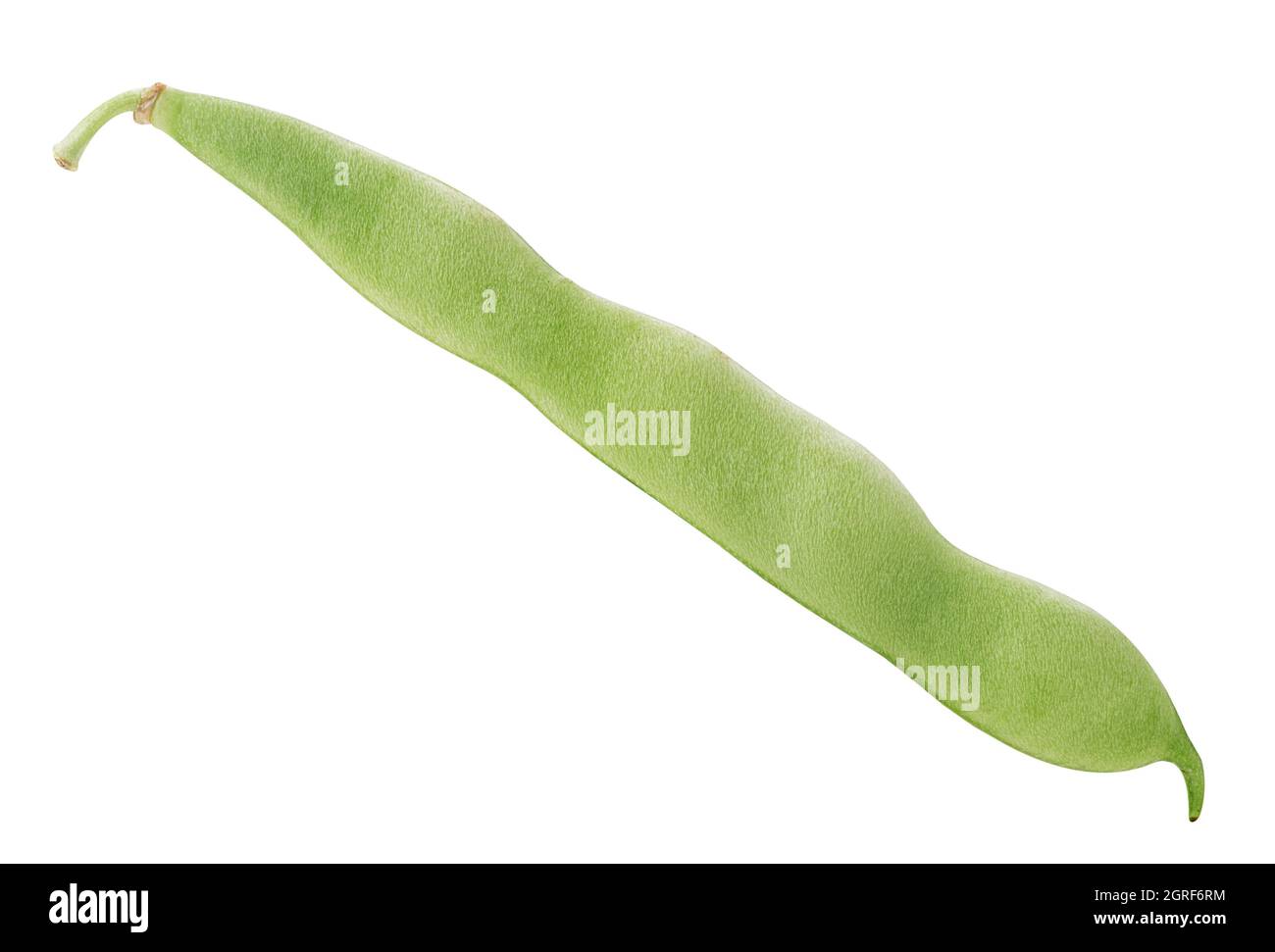 Green string beans pods. Vegetables isolated on white background ...