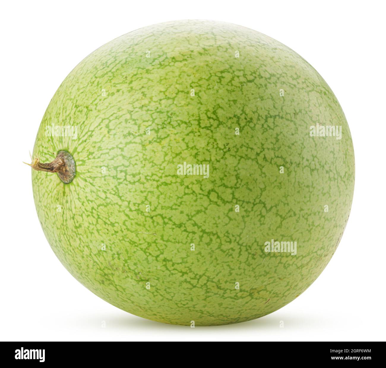 Ripe green watermelon isolated on white background. Clipping Path. Full ...