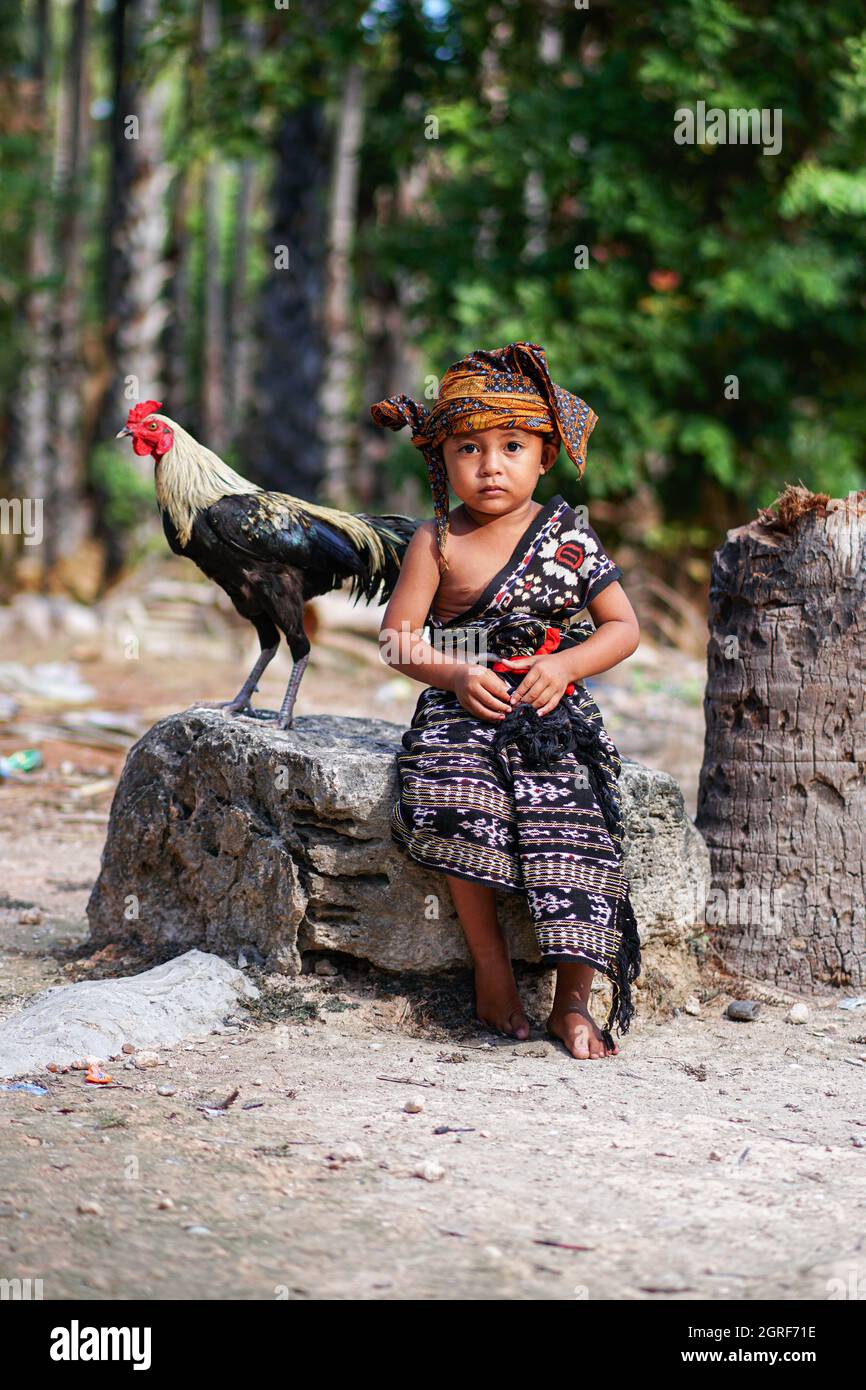 Boy with a rooster hi-res stock photography and images - Alamy