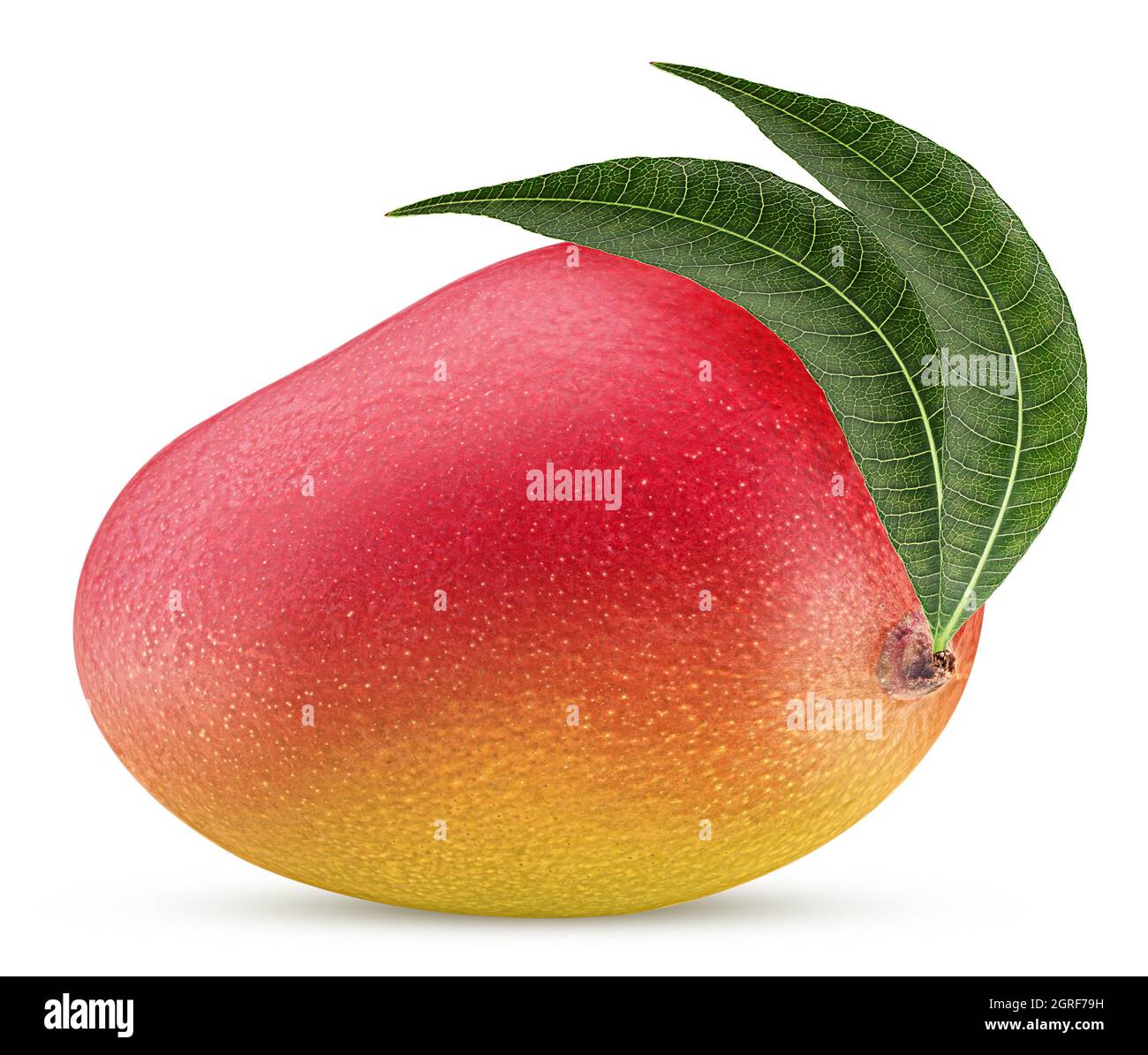 Mango exotic friut with a leaf isolated on white background. Clipping ...
