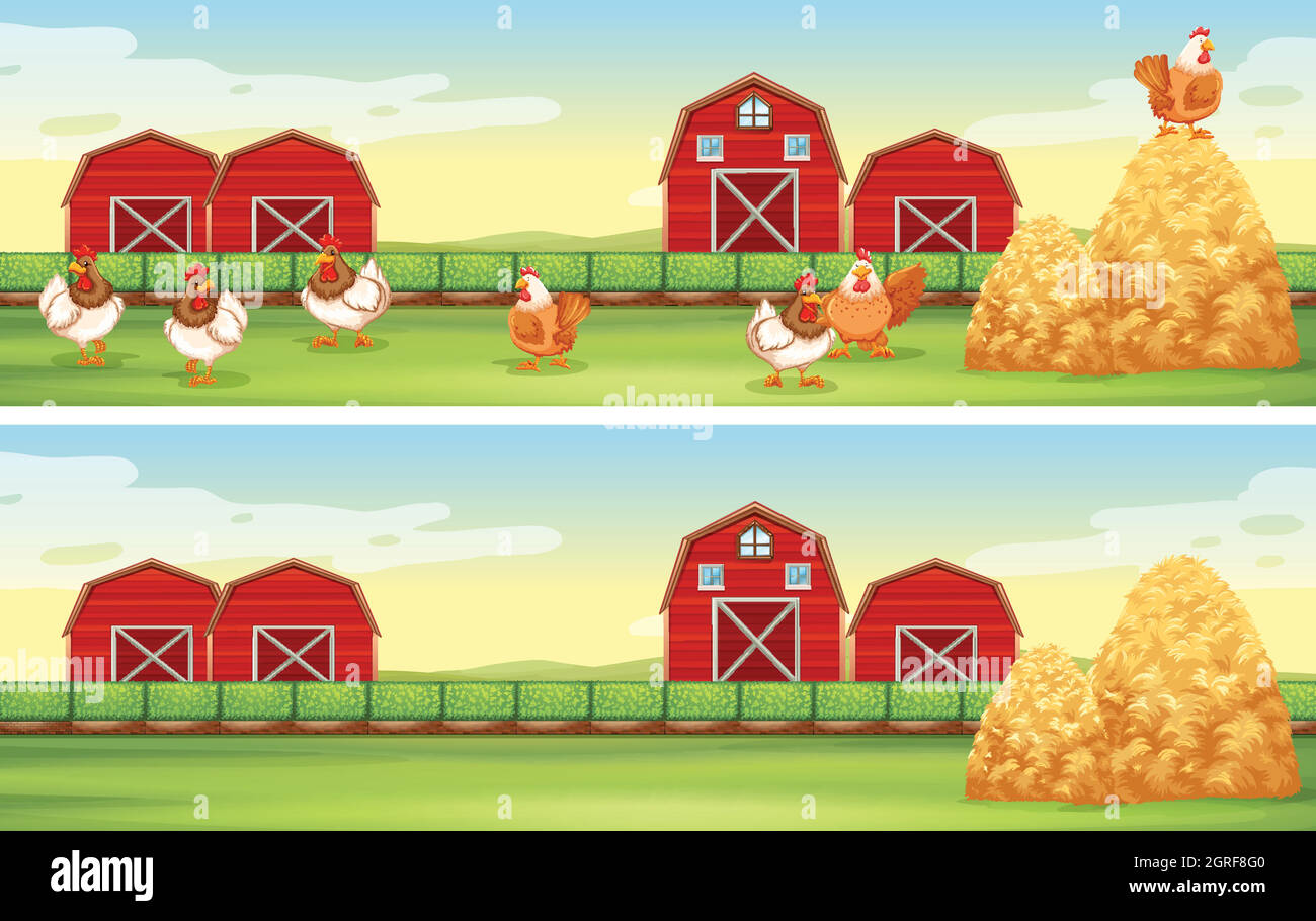 Chickens and barn in the farmyard Stock Vector Image & Art - Alamy