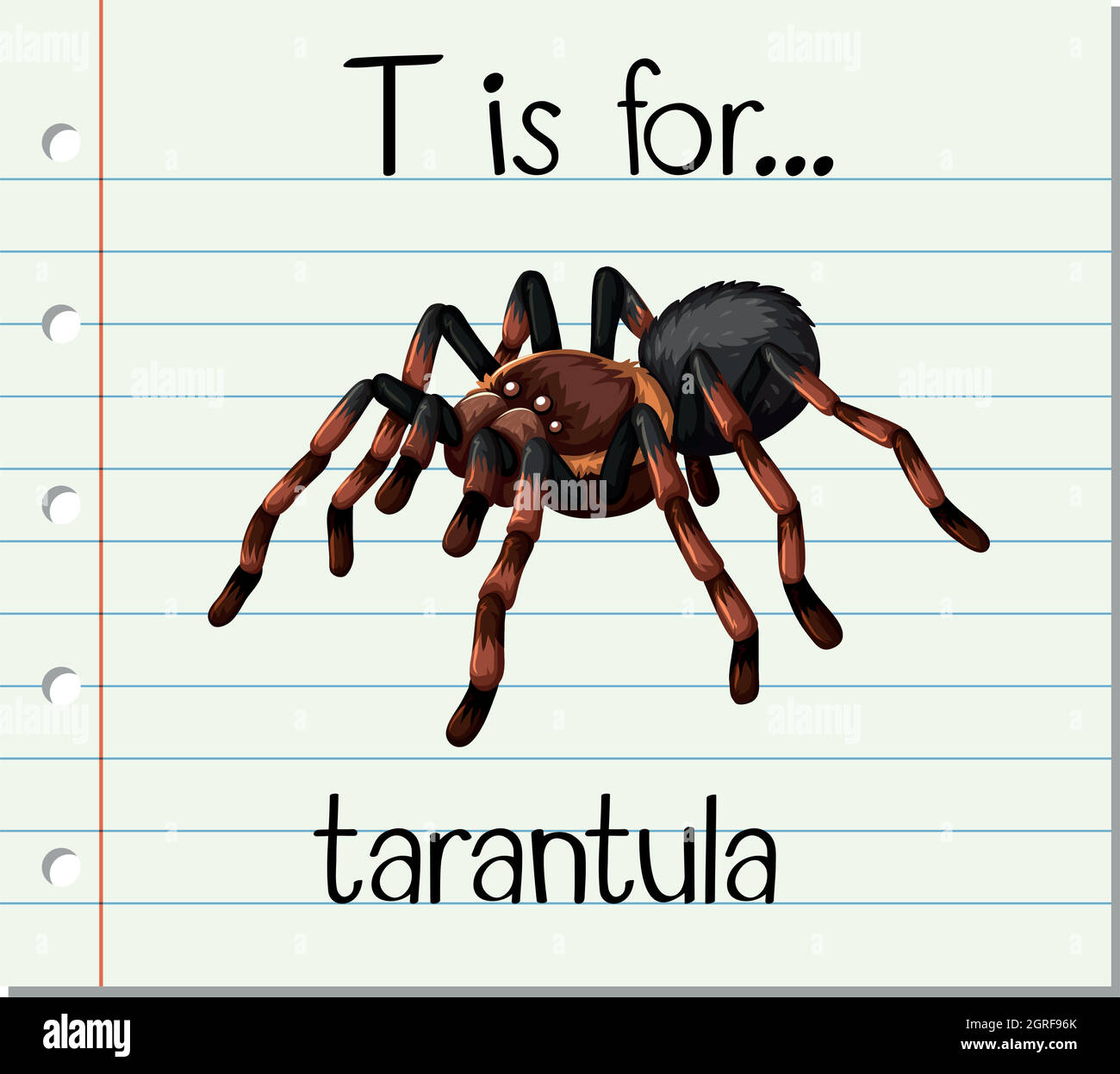 Tarantula spider Stock Vector Images - Alamy