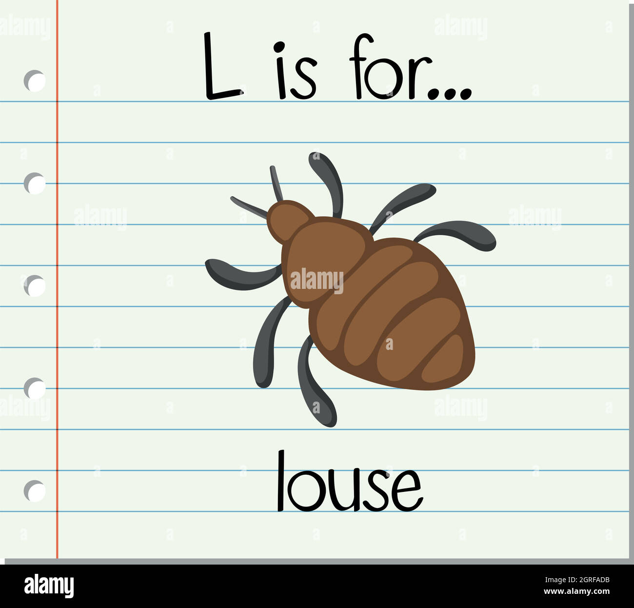Flashcard letter L is for louse Stock Vector Image & Art - Alamy