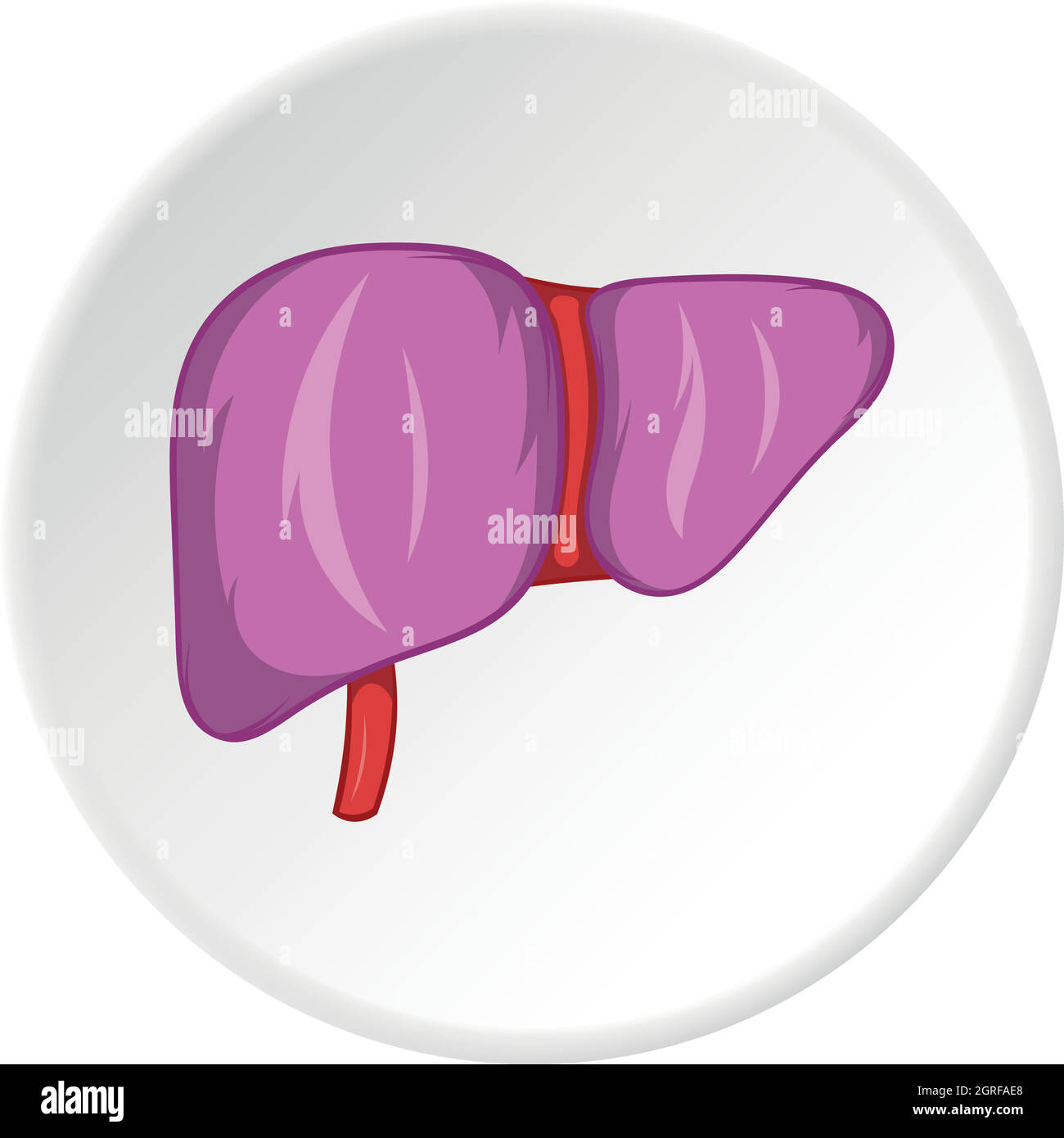 Liver human cartoon design Stock Vector Images - Alamy