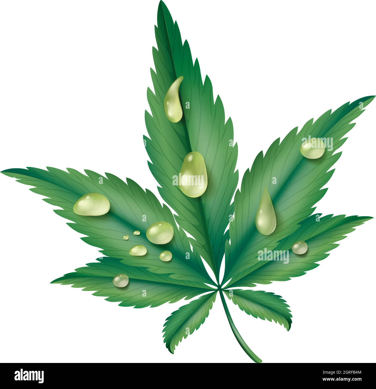 Drops water raindrops on Stock Vector Images - Alamy