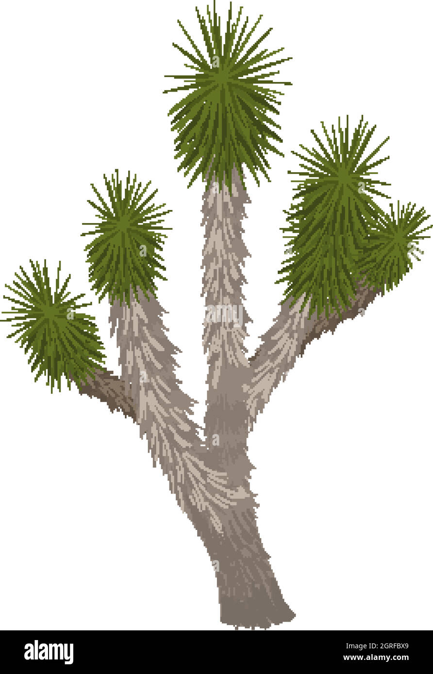 Joshua Tree isolated on white background Stock Vector Image & Art - Alamy