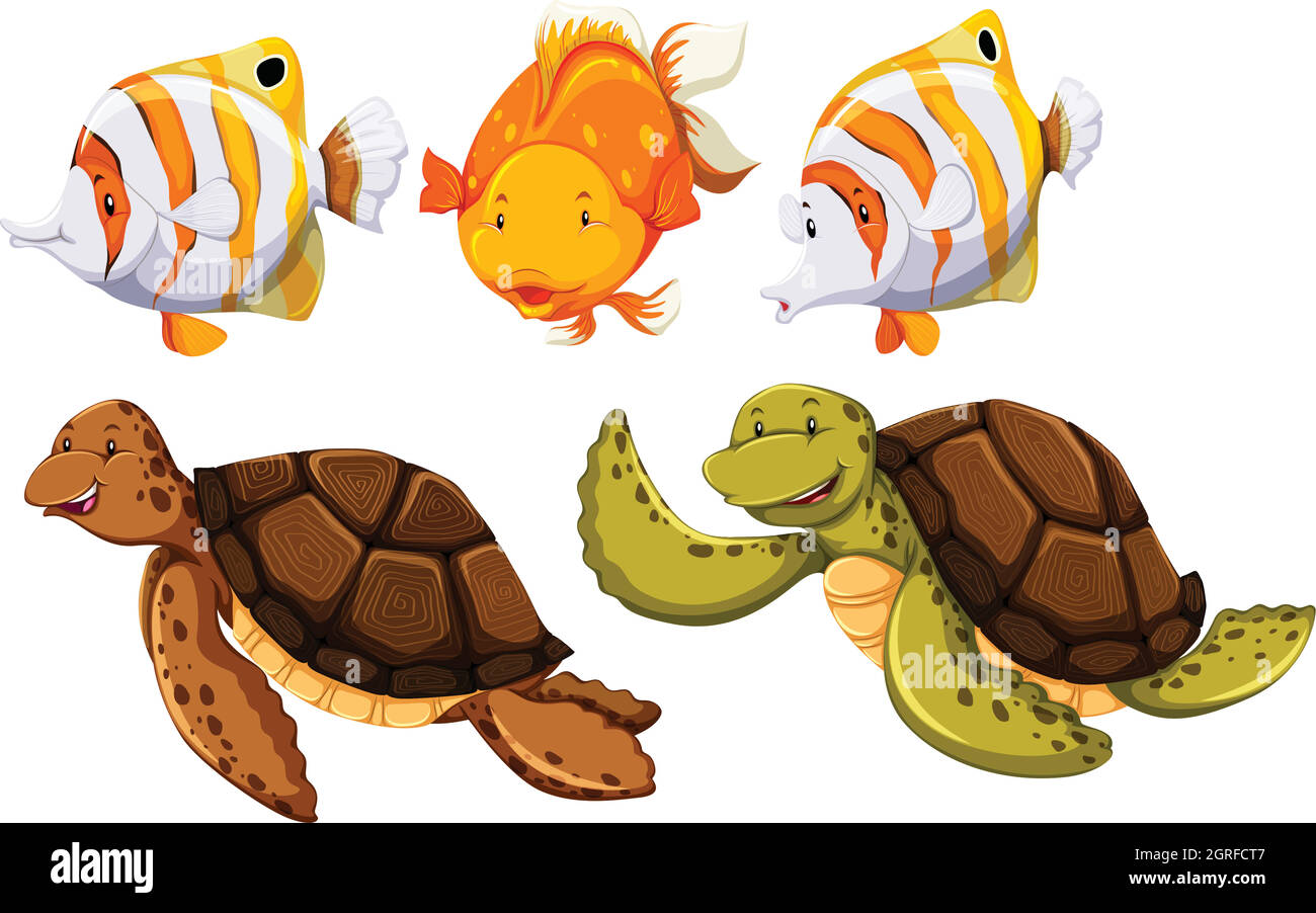 Species of sea turtle Cut Out Stock Images & Pictures - Alamy