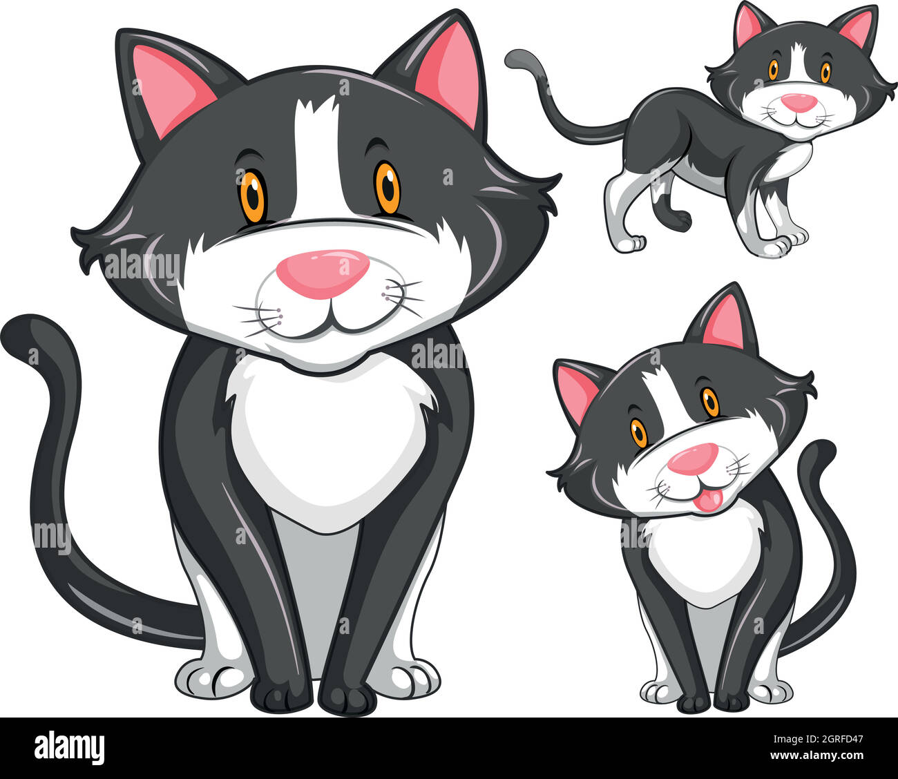 Cat in three different positions Stock Vector Image & Art - Alamy