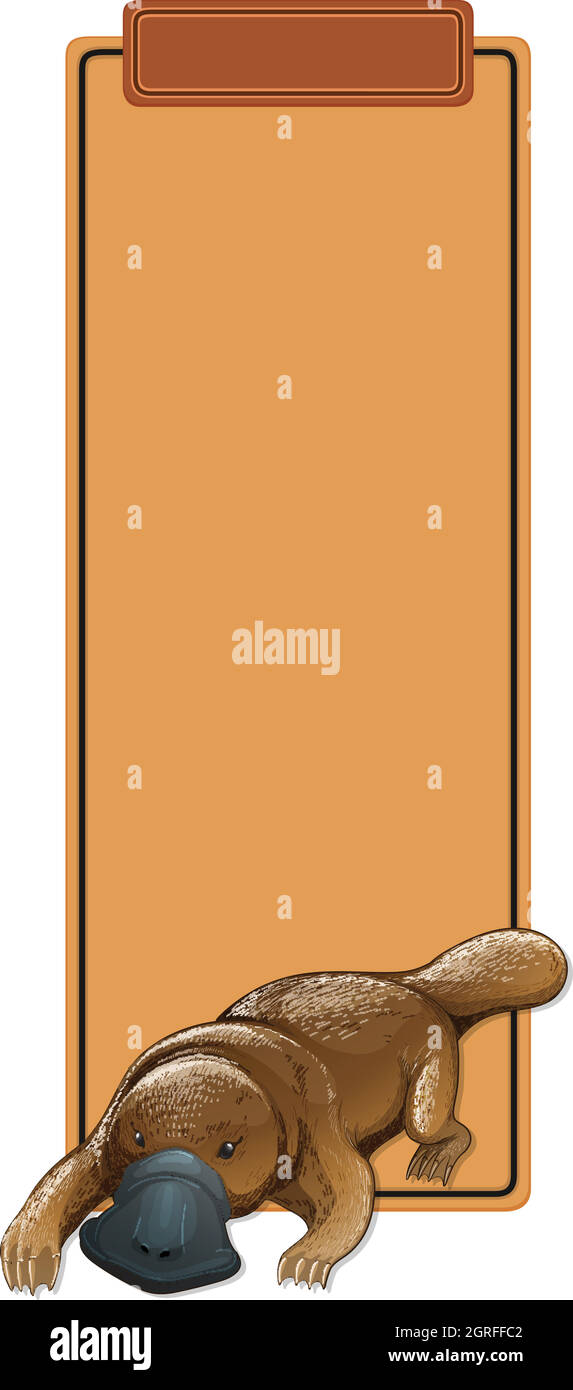 A platypus on blank template Stock Vector Image & Art - Alamy