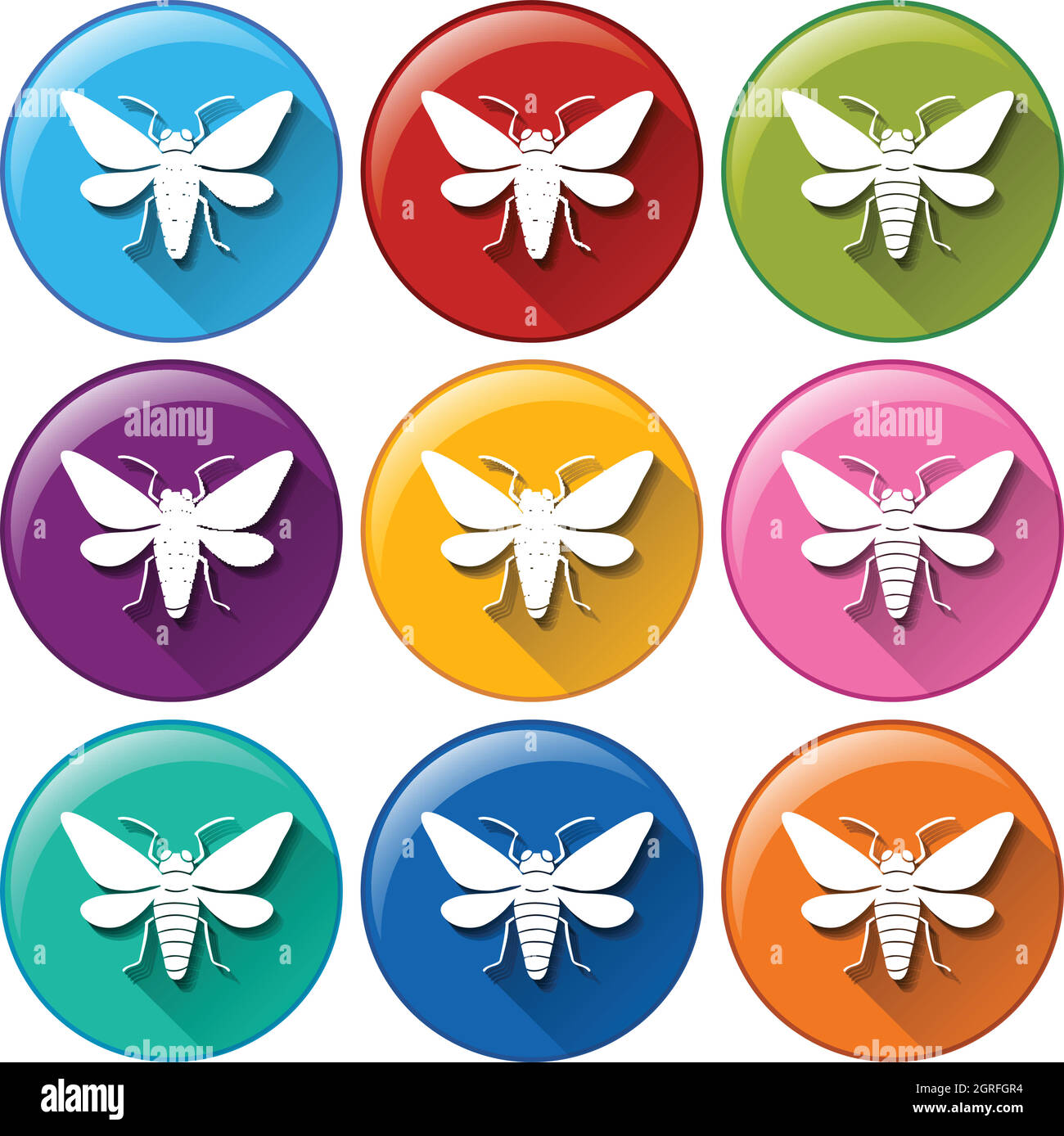 Buttons with insects Stock Vector Image & Art - Alamy