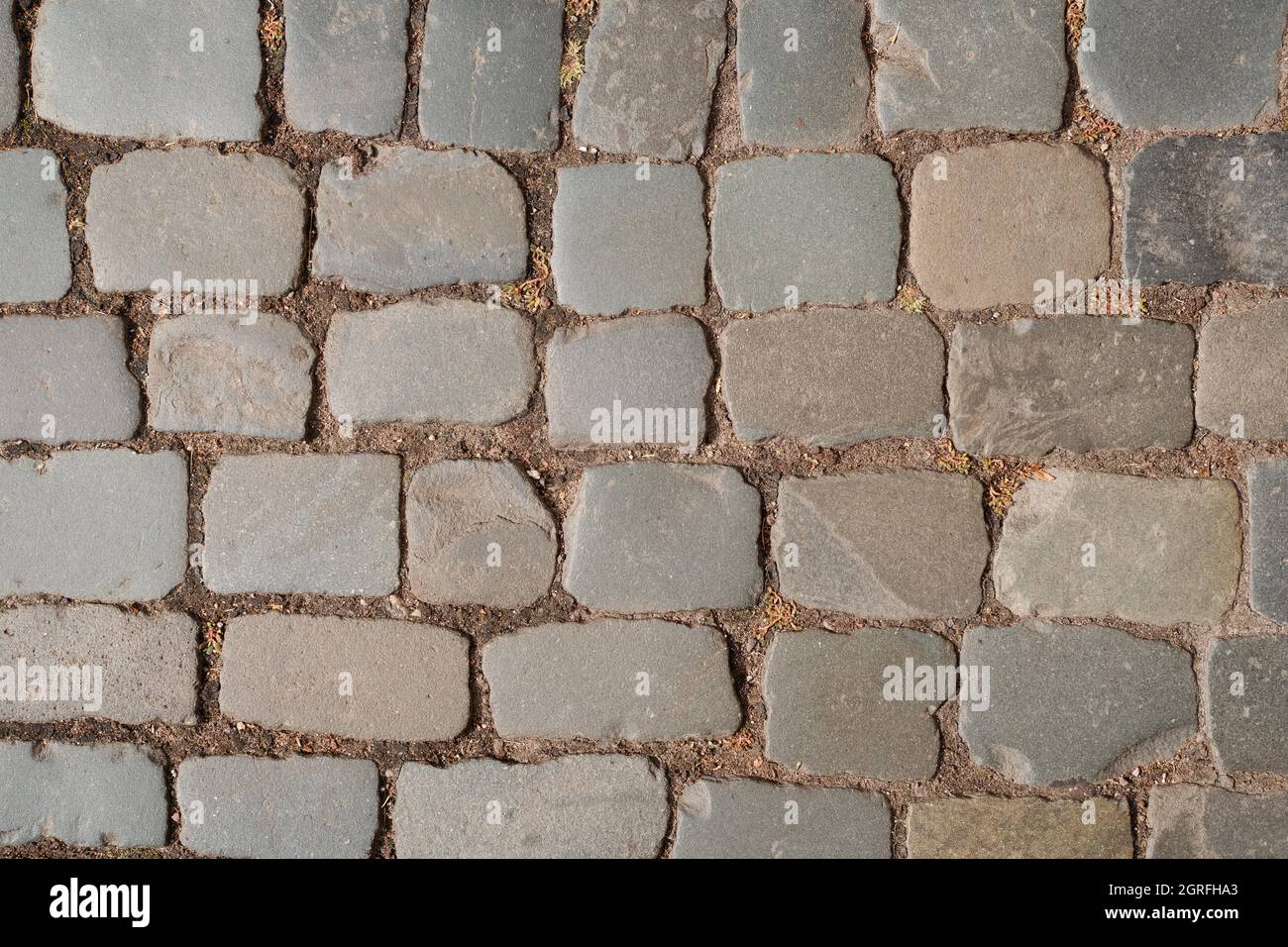 Large smooth old european Cobble stone pavement background Stock Photo ...