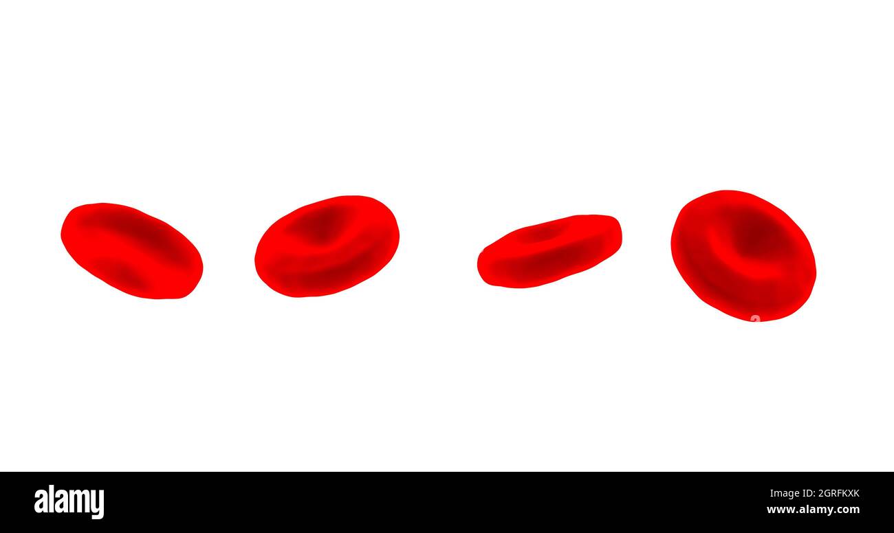 Red blood cells close up hi-res stock photography and images - Alamy