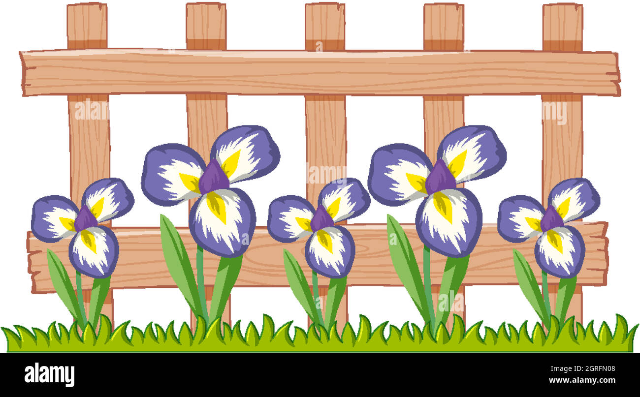 Iris flower in garden Stock Vector Images - Alamy