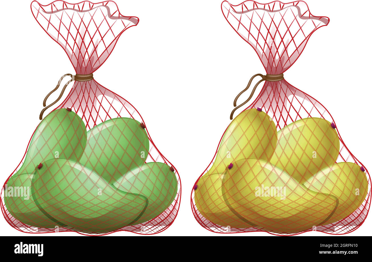 Fresh mangoes in net bags Stock Vector Image & Art - Alamy