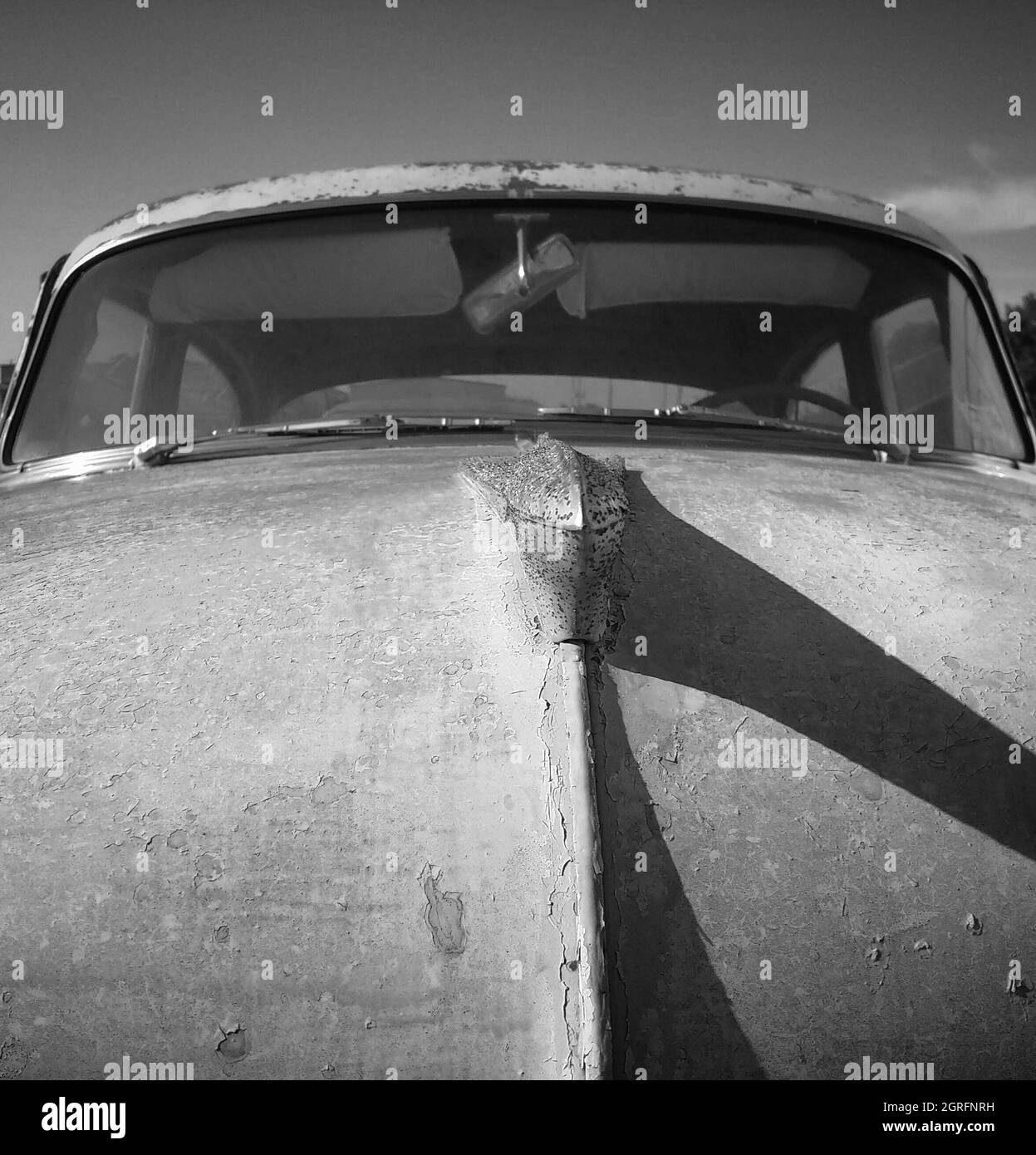 Vintage rear view Black and White Stock Photos & Images - Alamy