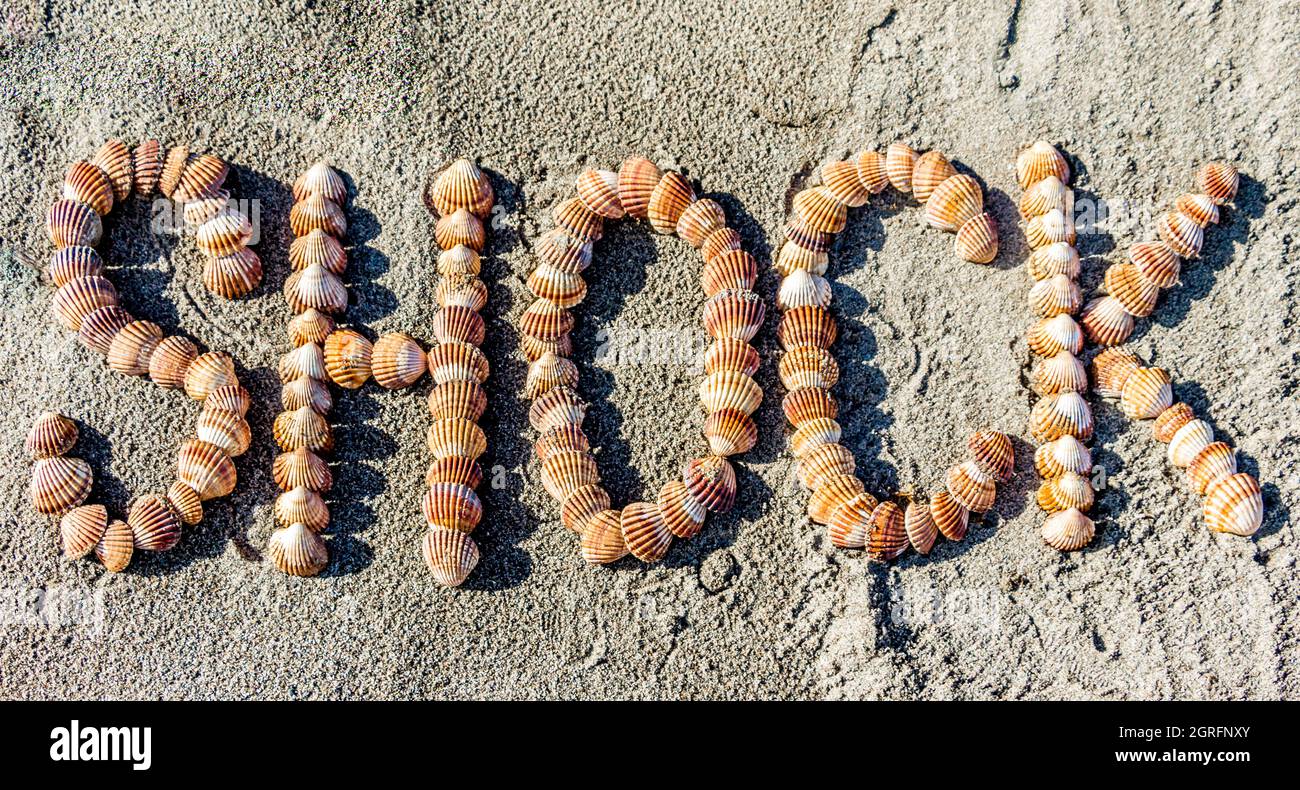 Shell Shock High Resolution Stock Photography and Images - Alamy