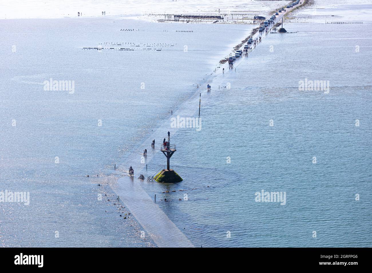 Perroquet de mer hi-res stock photography and images - Alamy