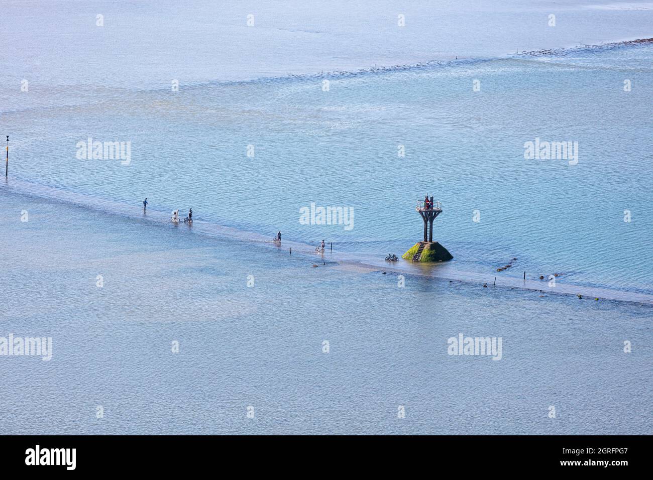 Perroquet de mer hi-res stock photography and images - Alamy