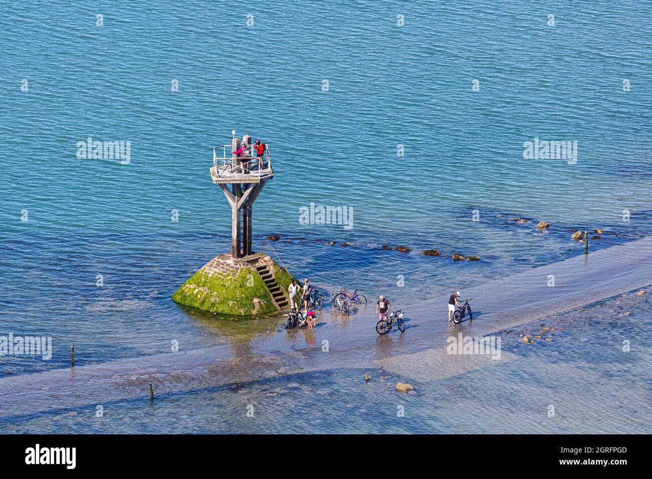 Perroquet de mer hi-res stock photography and images - Alamy