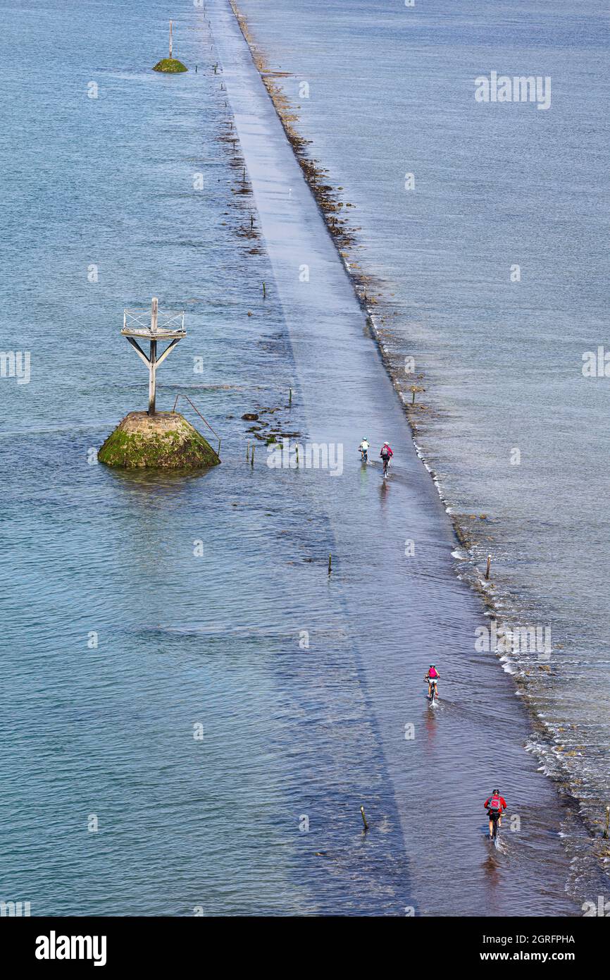 Perroquet de mer hi-res stock photography and images - Alamy