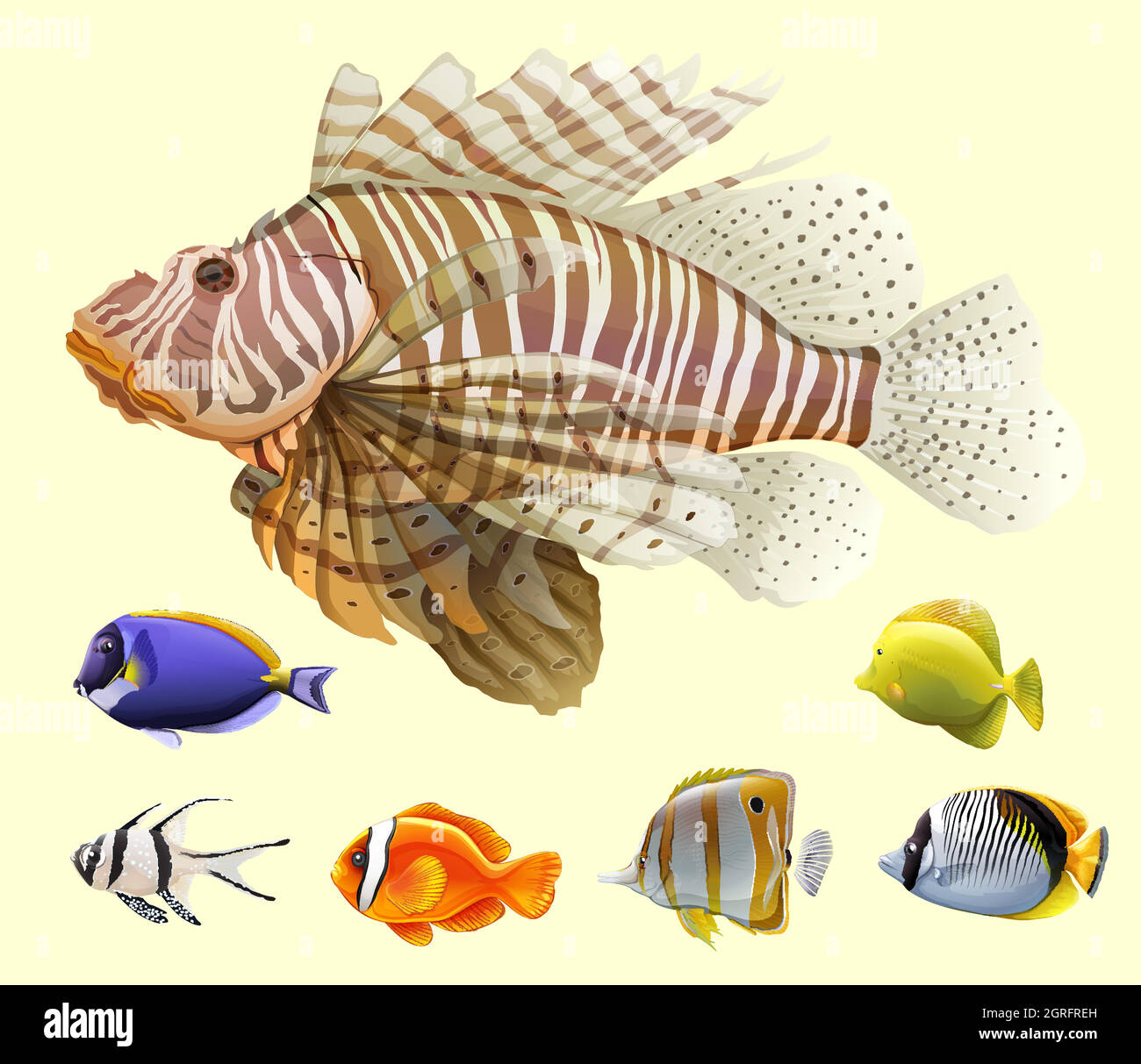 Different fish art hi-res stock photography and images - Alamy