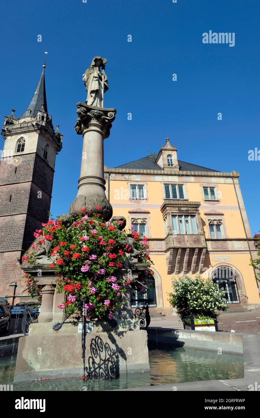 Medieval sculpture hall hi-res stock photography and images - Alamy