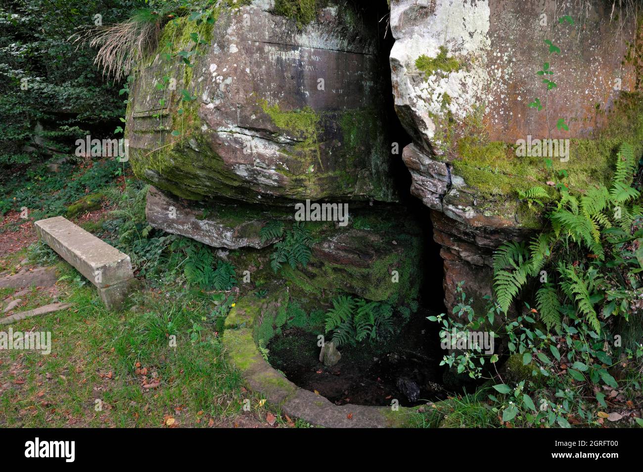 France, Vosges, Plombieres les Bains, forest, the Stanislas fountain ...